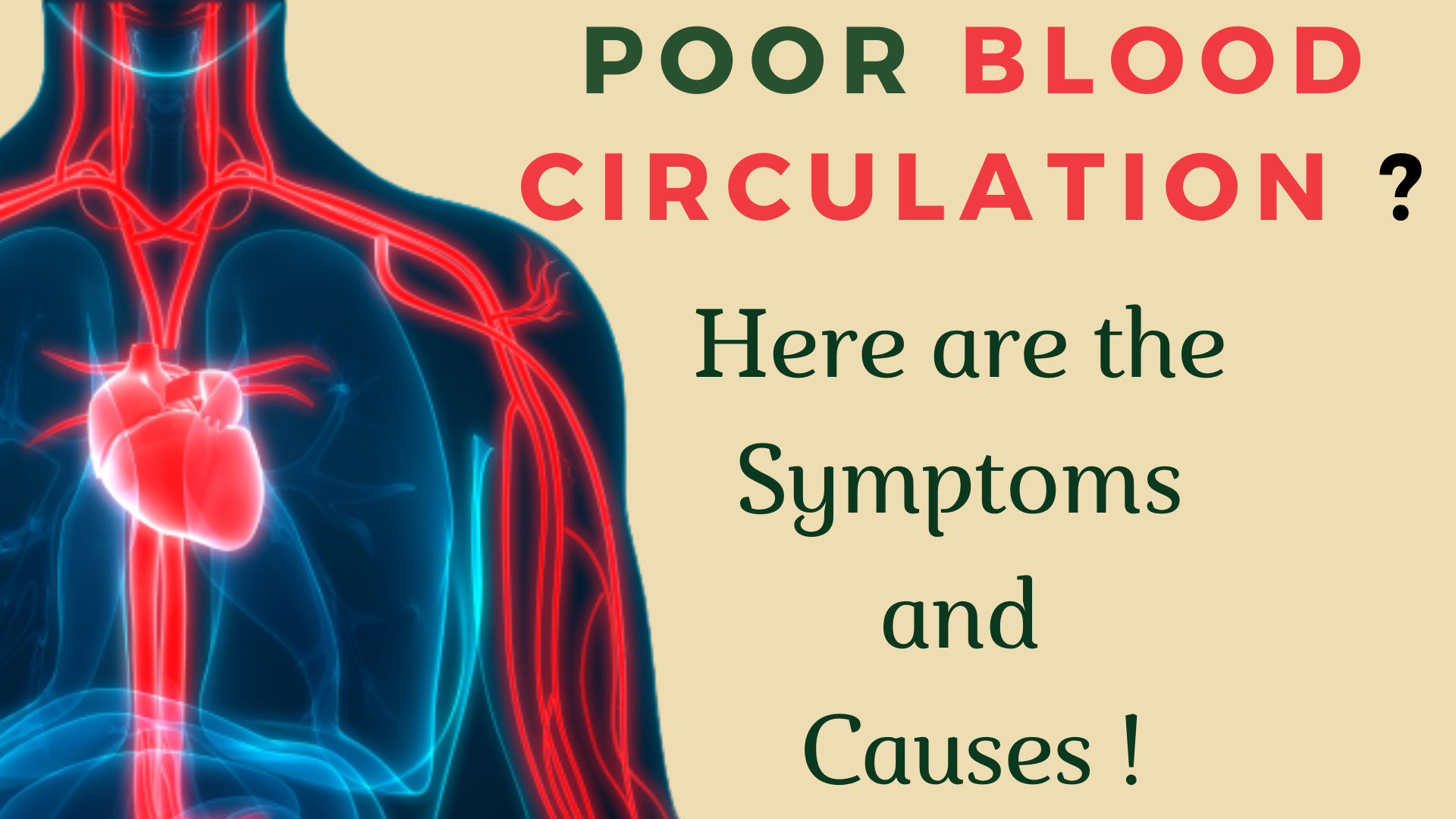 Poor Blood Circulation Symptoms And Causes Poor Blood Circulation Symptoms And Causes